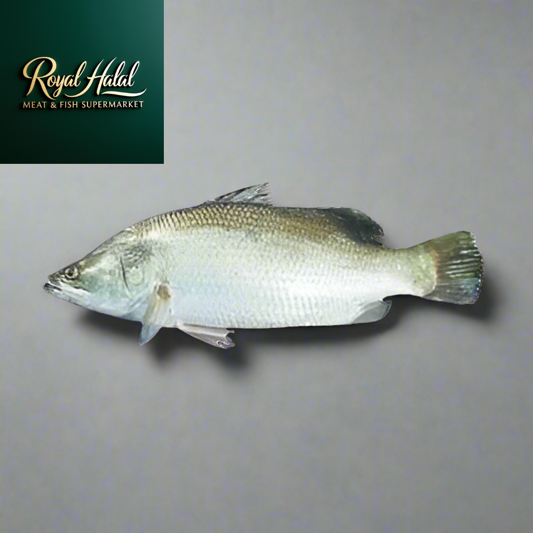 Royal Koral Fish Regular Cut $5.99/lbs – Bangla Eats